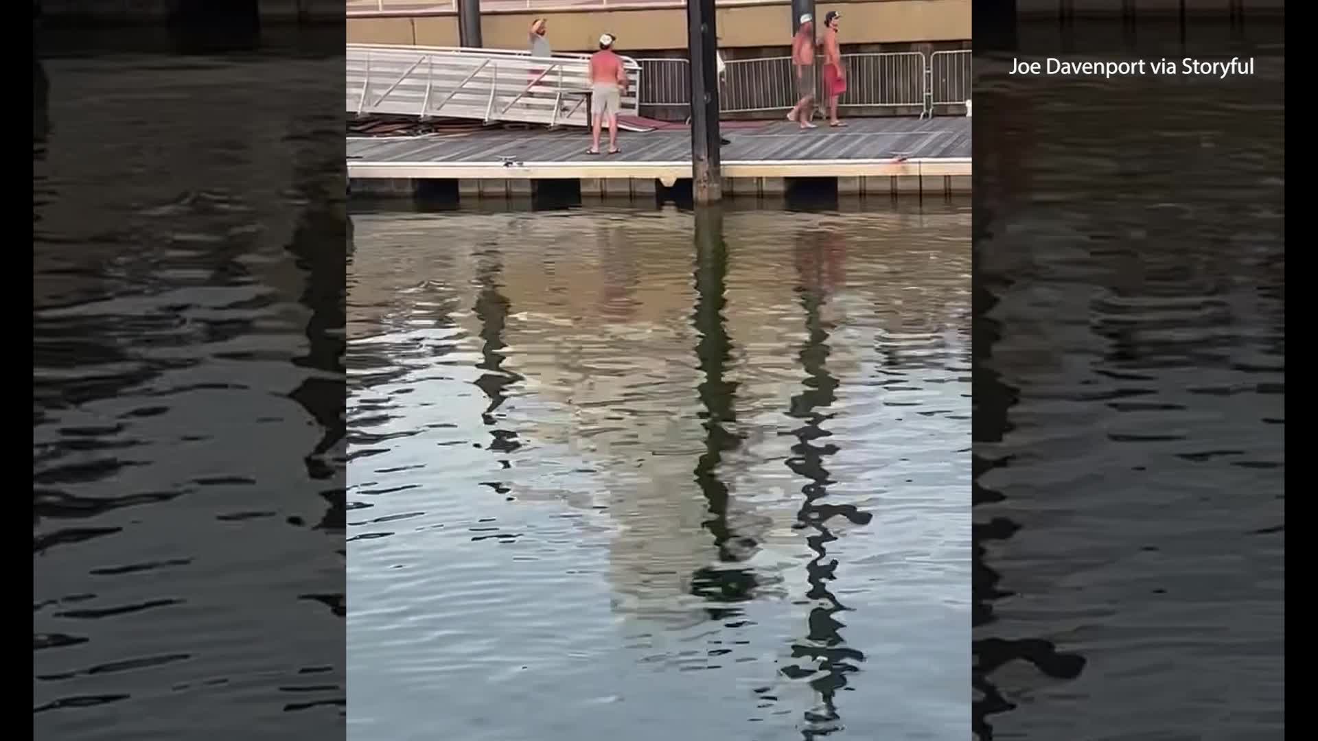 Cellphone video shows wild brawl break out at Montgomery dock – CW33 ...