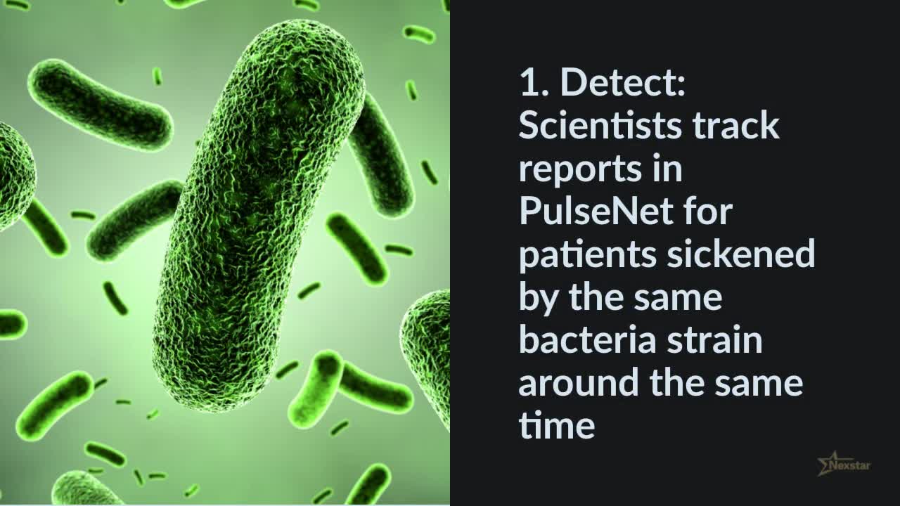 How does the CDC investigate foodborne outbreaks? – NewsNation