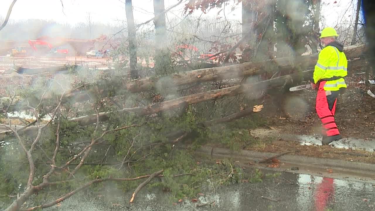 Tree downed across Guilford College Road in Greensboro – FOX8 WGHP