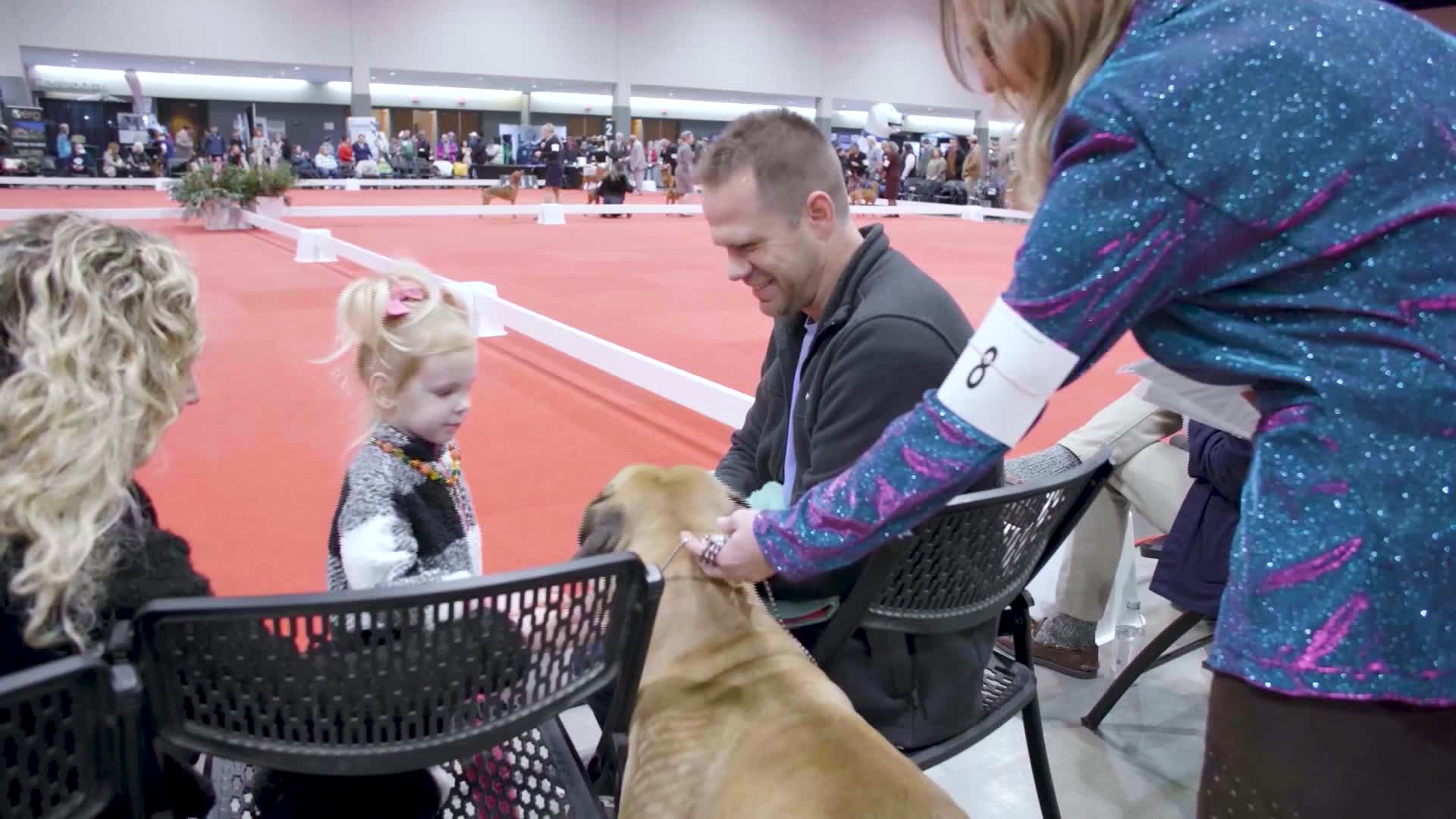 The Great American Dog and Cat Show – WGN-TV