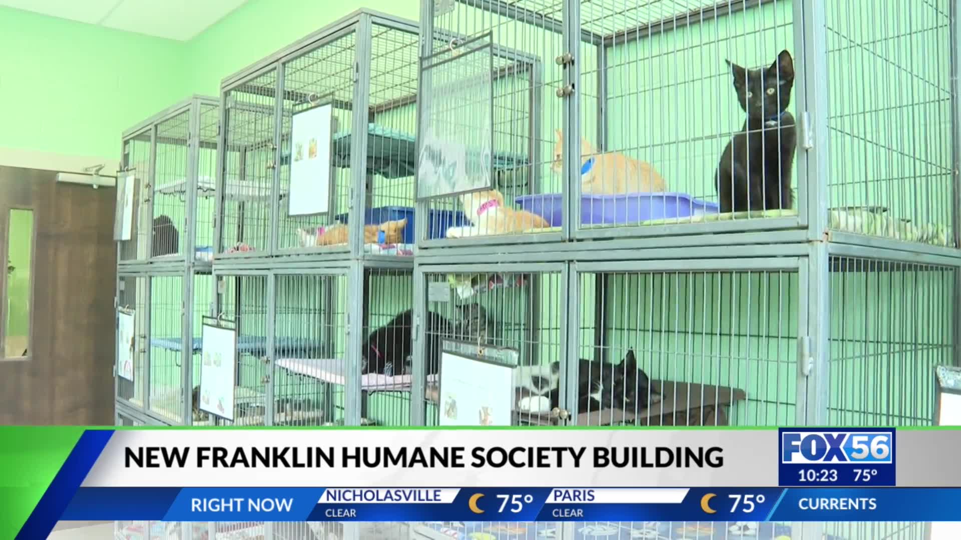 New Franklin Humane Society Building – FOX 56 News