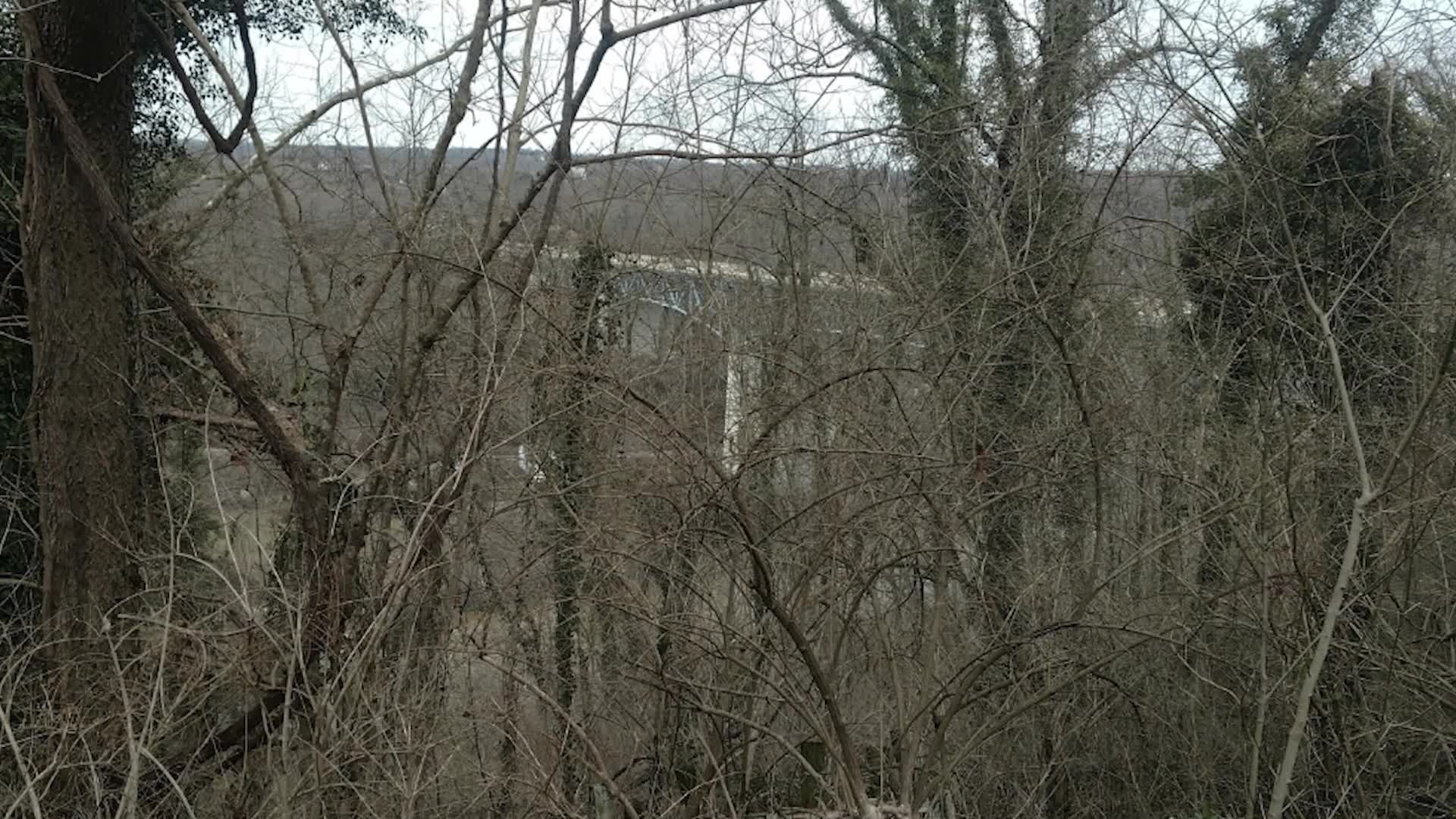 Madison County man brings back the scenic view to historic Clays Ferry ...